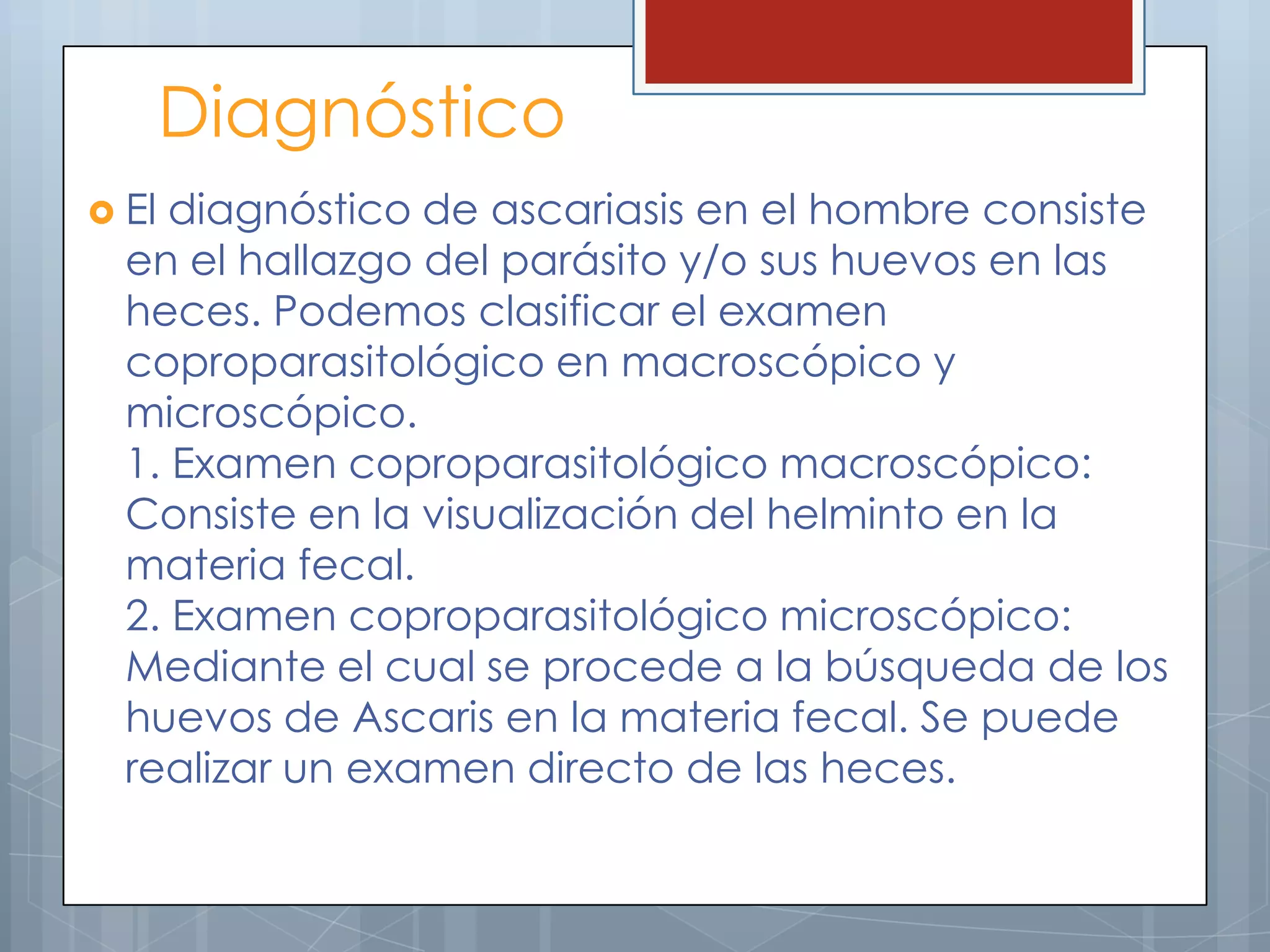 Ascaris lumbricoide | PPTX | Digestive Disorders | Diseases and Conditions