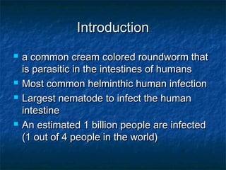 Ascaris lumbricoides | PPT
