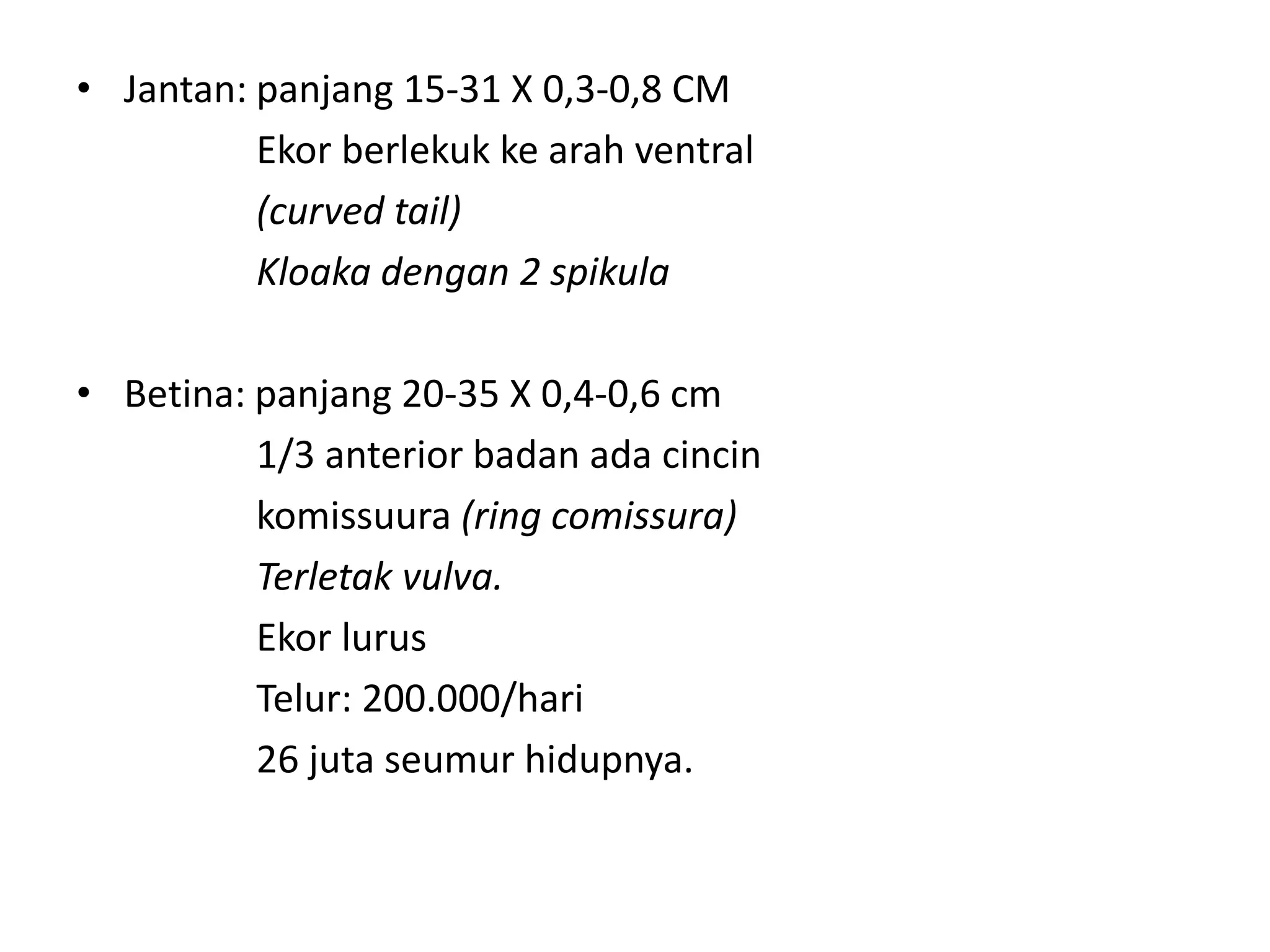 Ascaris lumbricoides | PPTX