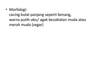 Ascaris lumbricoides | PPTX