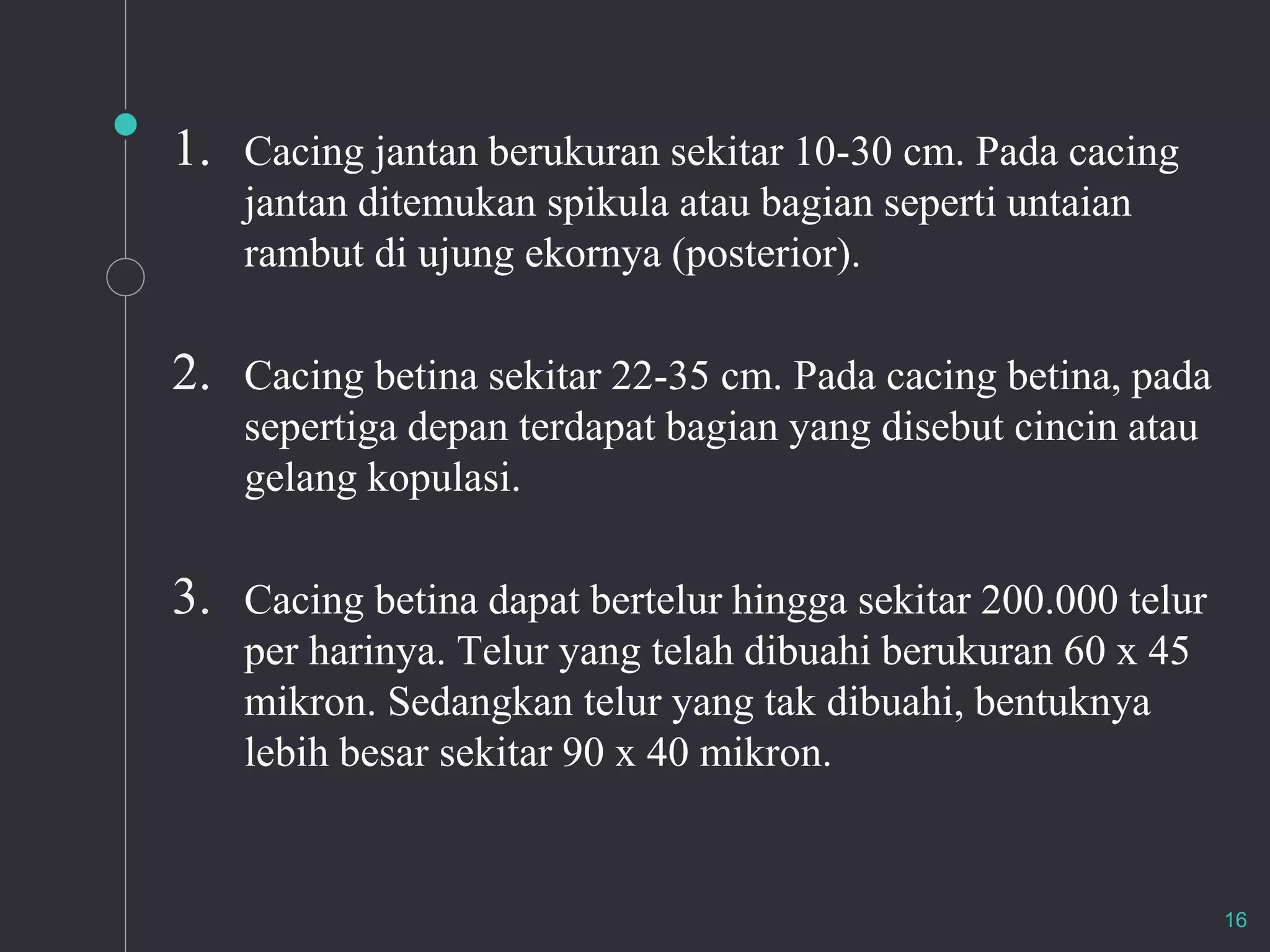 (Ascaris lumbricoides).pptx