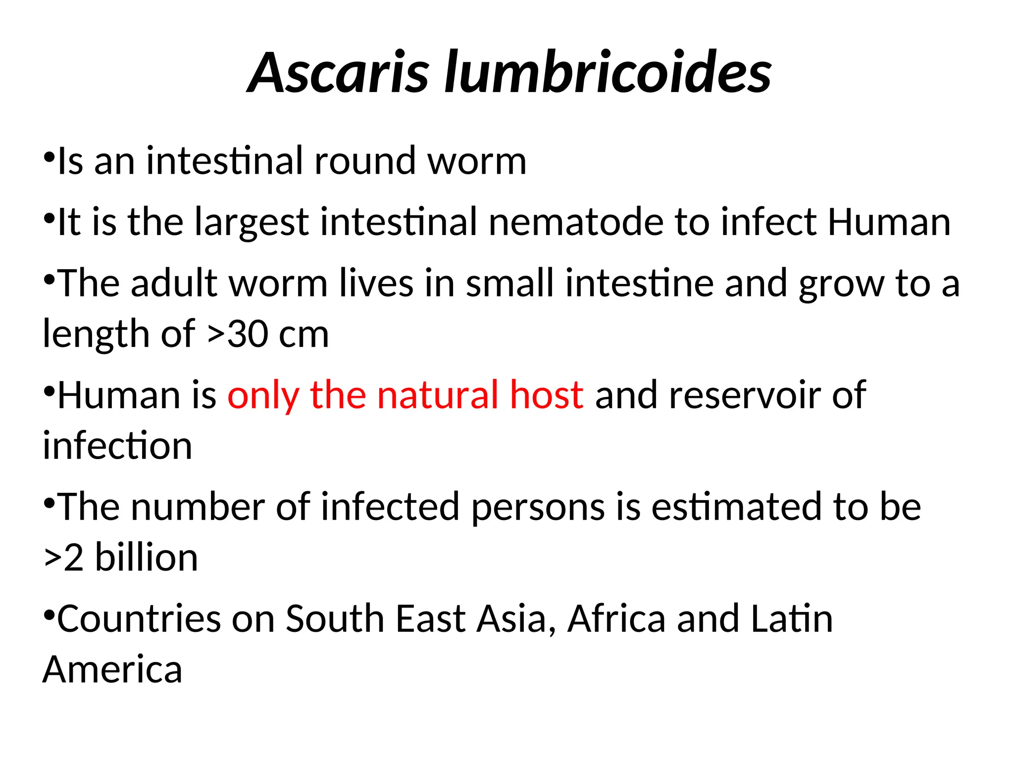 ASCARIS LUMBRICOIDES.power point for medicine | PPT