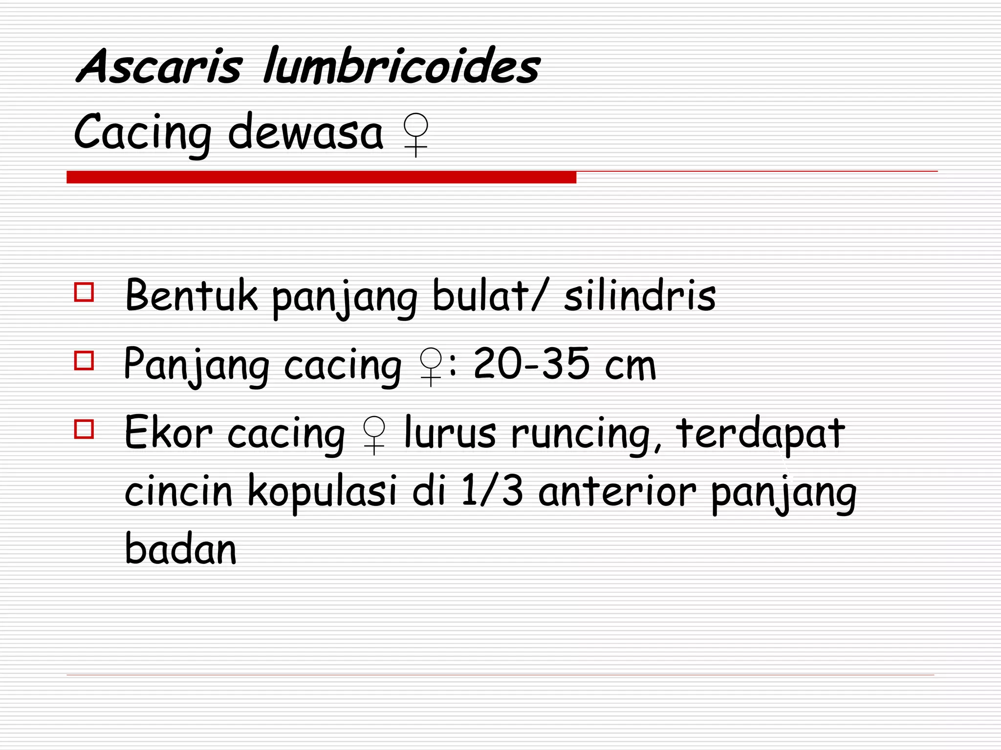 Ascaris Lumbricoides Dan Trichuris Trichiura | PPT