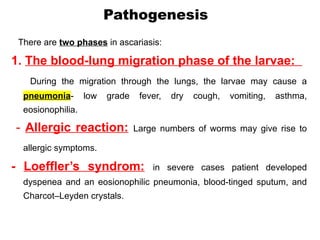 Ascaris lumbricoides by dr.janan 2024.pptx