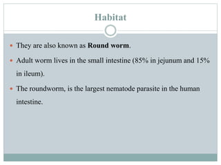 Ascaris lumbricoids.pptx