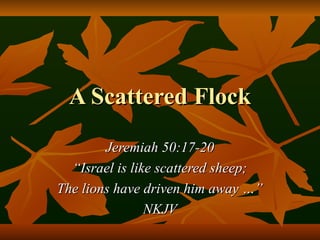 A Scattered Flock bible sermon verses. Bzjjzjzj.ppt