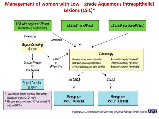 Asccp management guidelines august 2014 ppt. Dr. Sharda Jain /Dr Jyoti ...