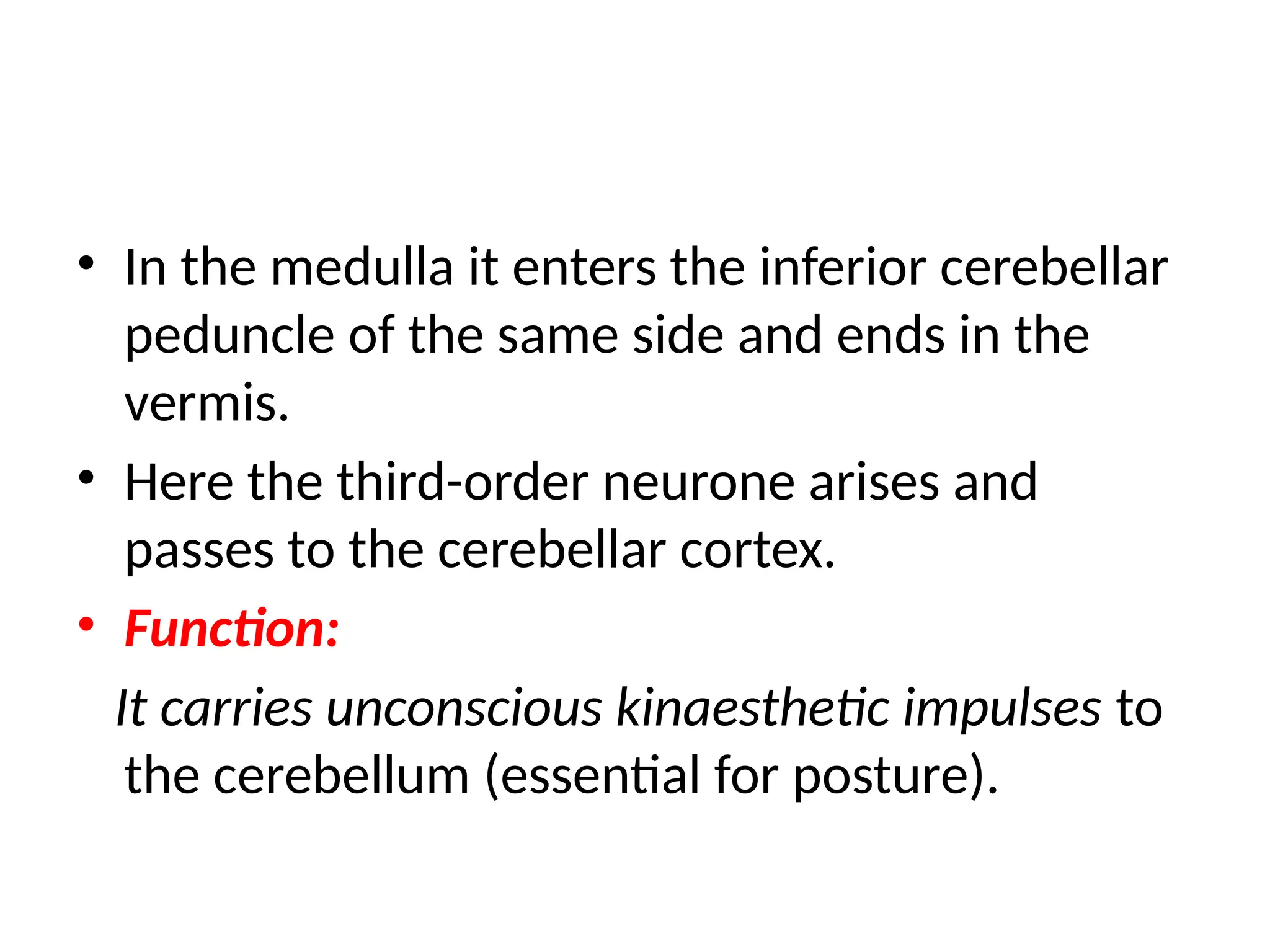 ASCENDING AND DESCENDING TRACTS.pptx FOR MEDICAL STUDENTS | PPTX