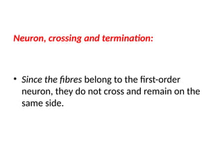 ASCENDING AND DESCENDING TRACTS.pptx FOR MEDICAL STUDENTS | PPTX