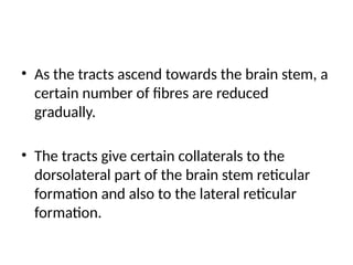 ASCENDING AND DESCENDING TRACTS.pptx FOR MEDICAL STUDENTS | PPTX