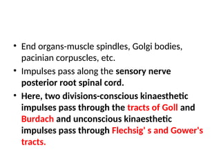 ASCENDING AND DESCENDING TRACTS.pptx FOR MEDICAL STUDENTS | PPTX