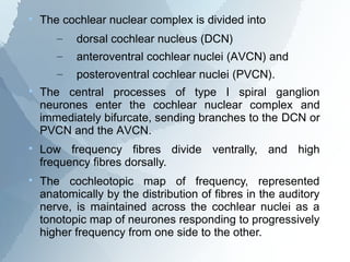 Ascending auditory pathway | PPT