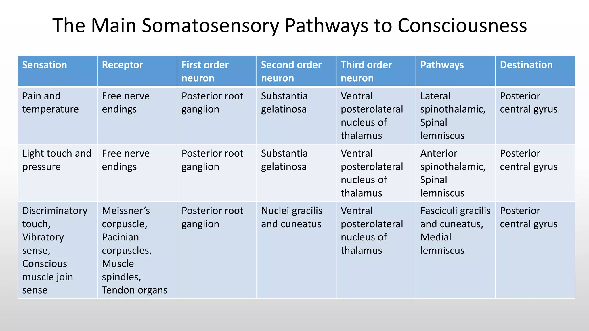 Ascending pathways | PPTX
