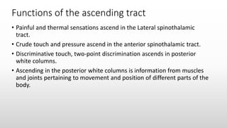Ascending pathways | PPTX