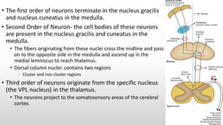 Ascending pathways | PPTX