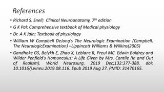 Ascending pathways | PPTX