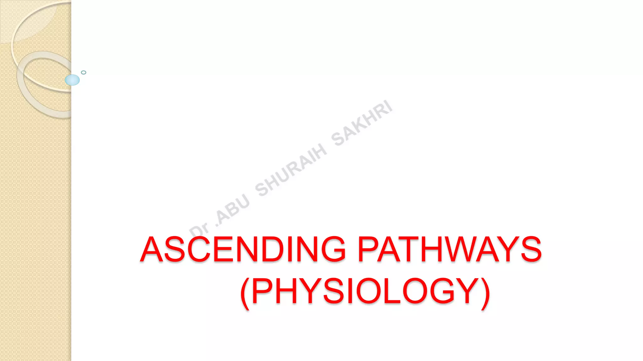 Ascending pathways | PPTX