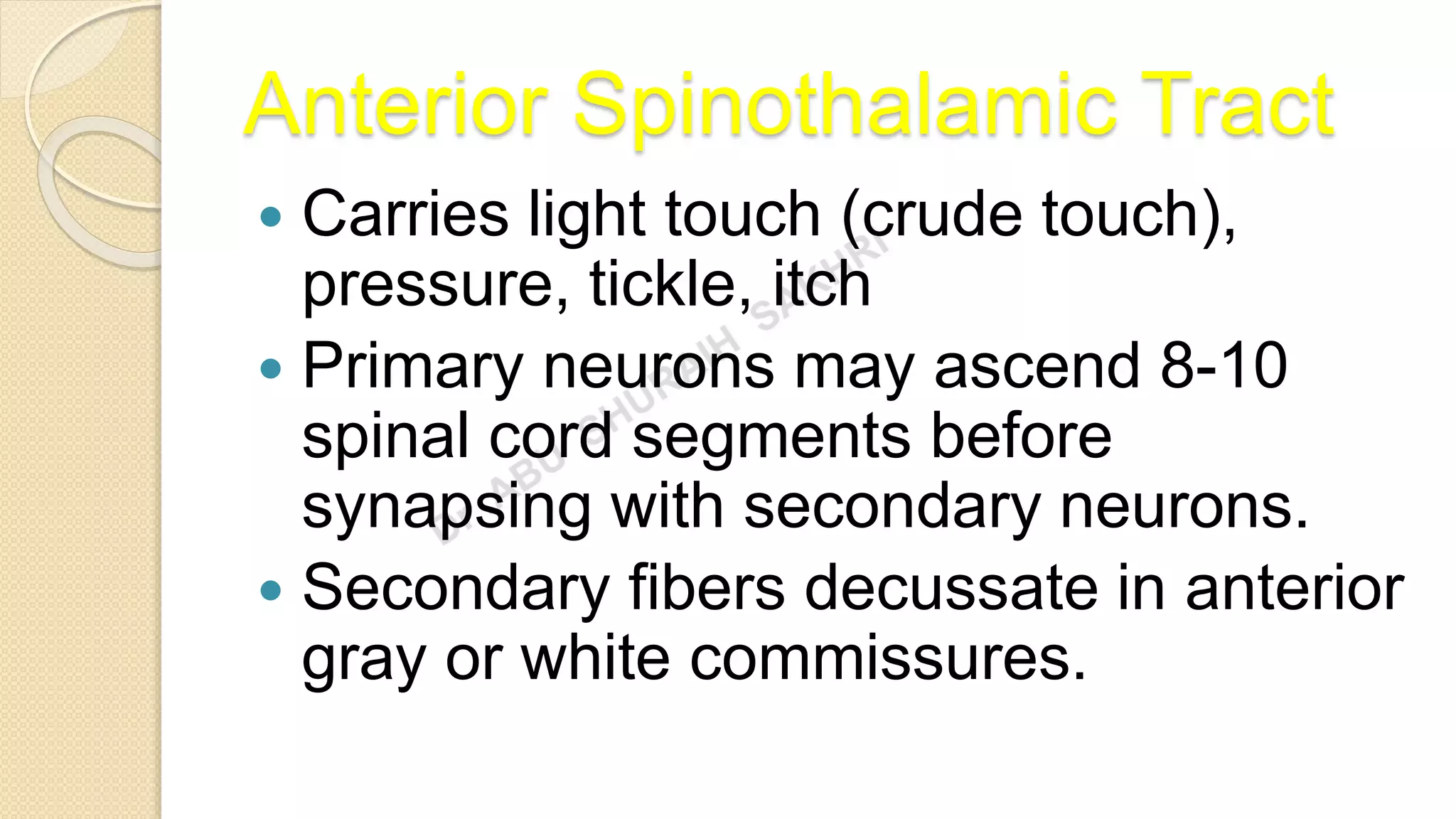 Ascending pathways | PPTX