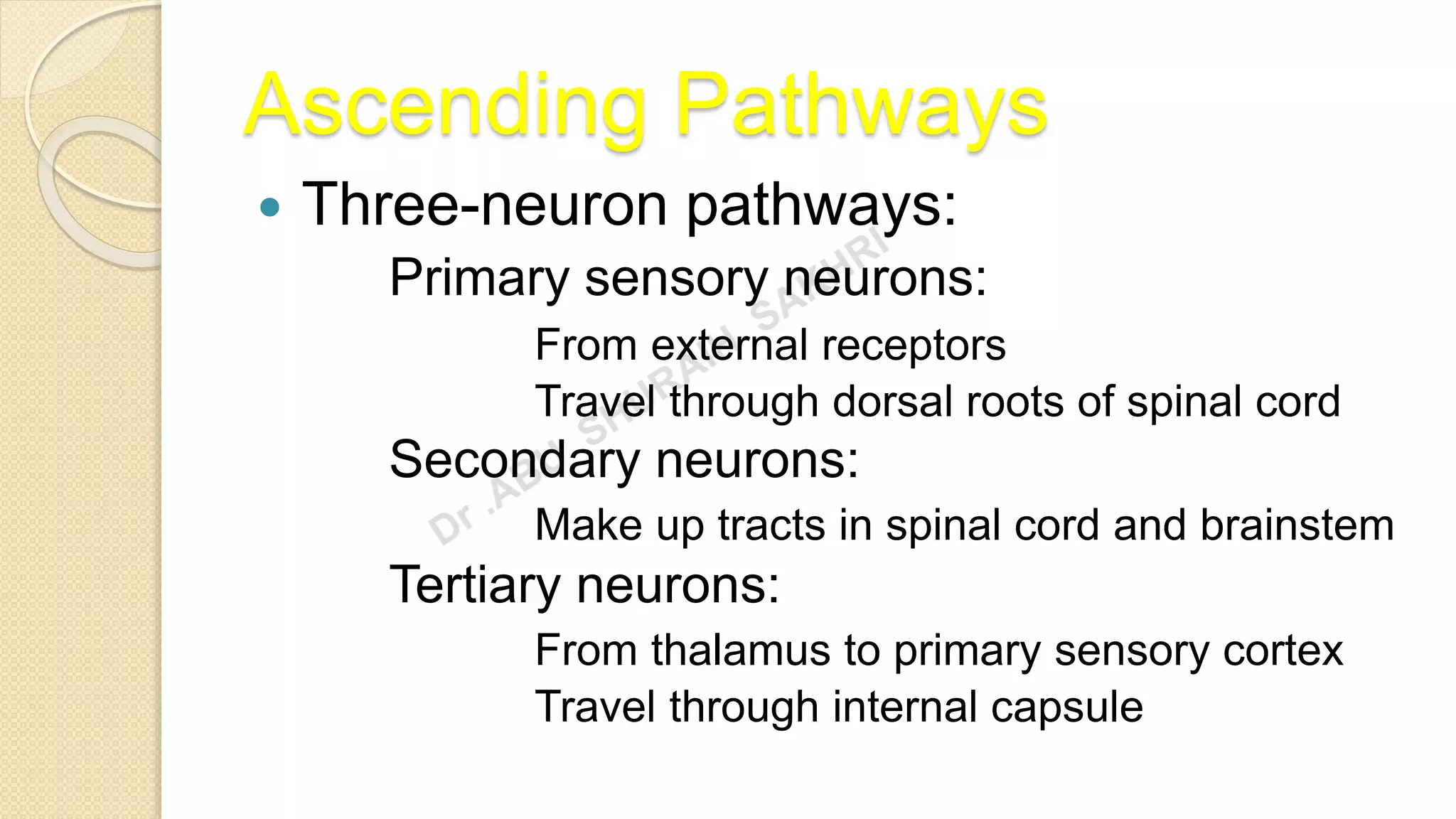 Ascending pathways | PPTX