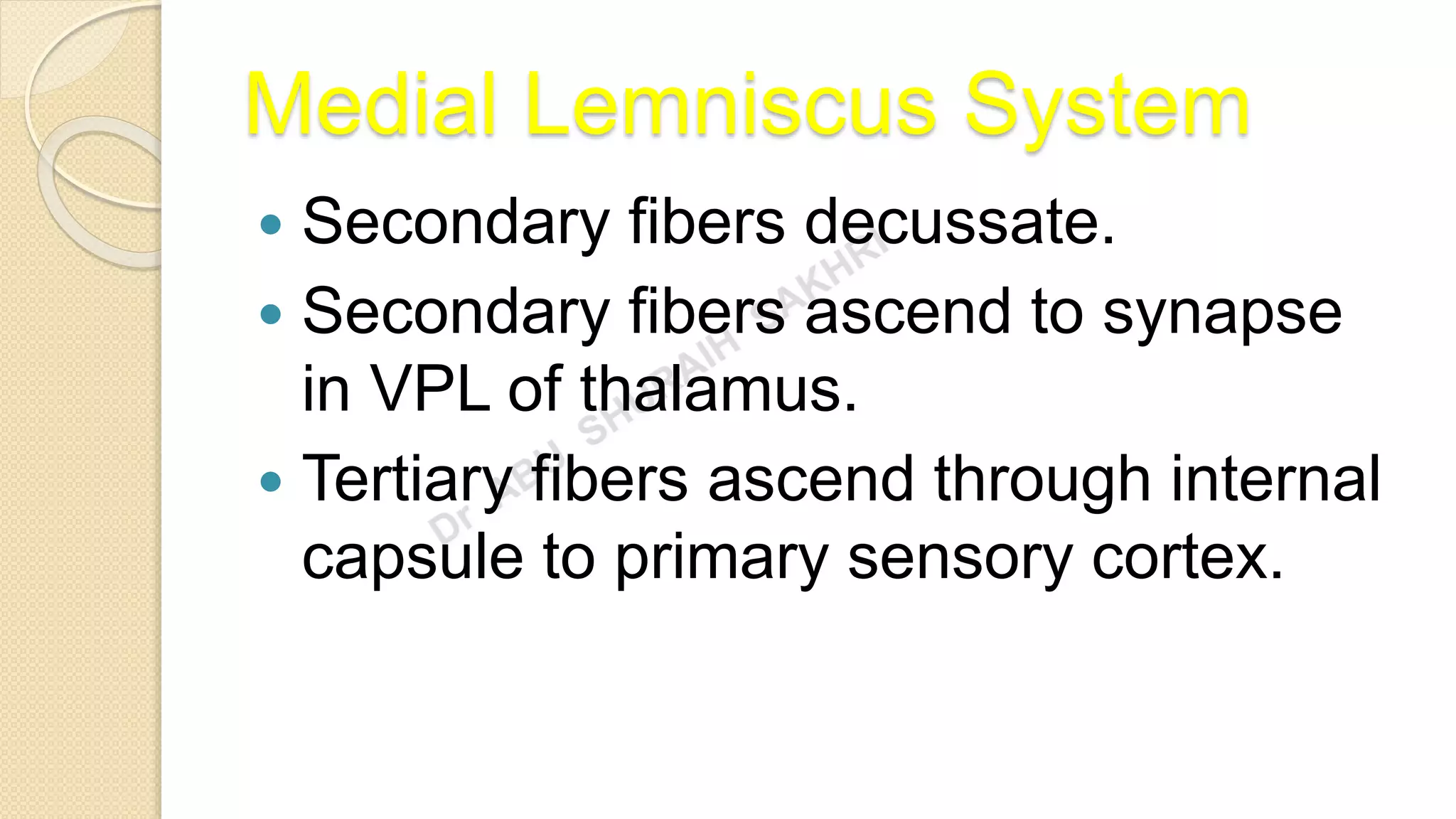 Ascending pathways | PPTX