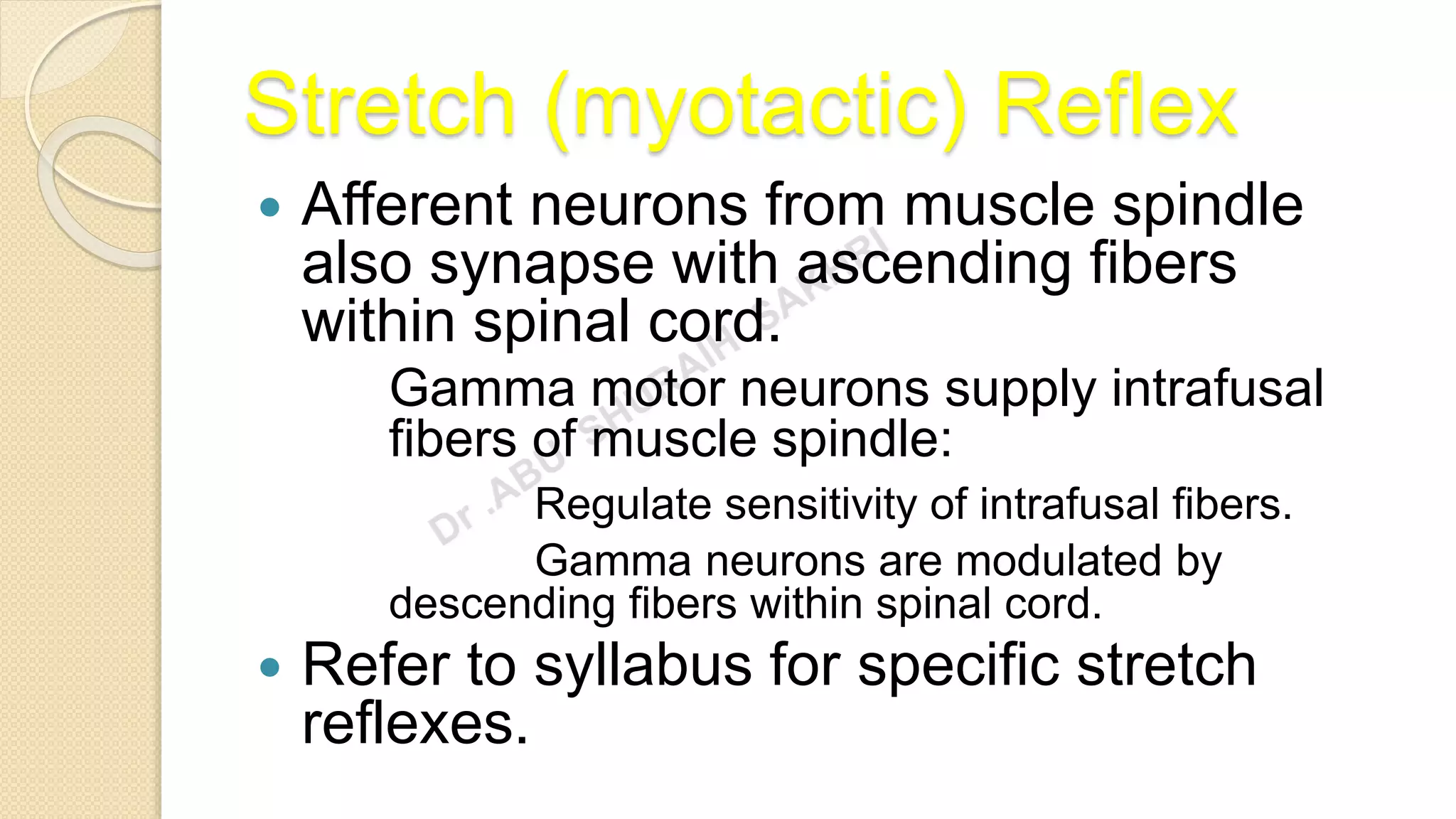 Ascending pathways | PPTX