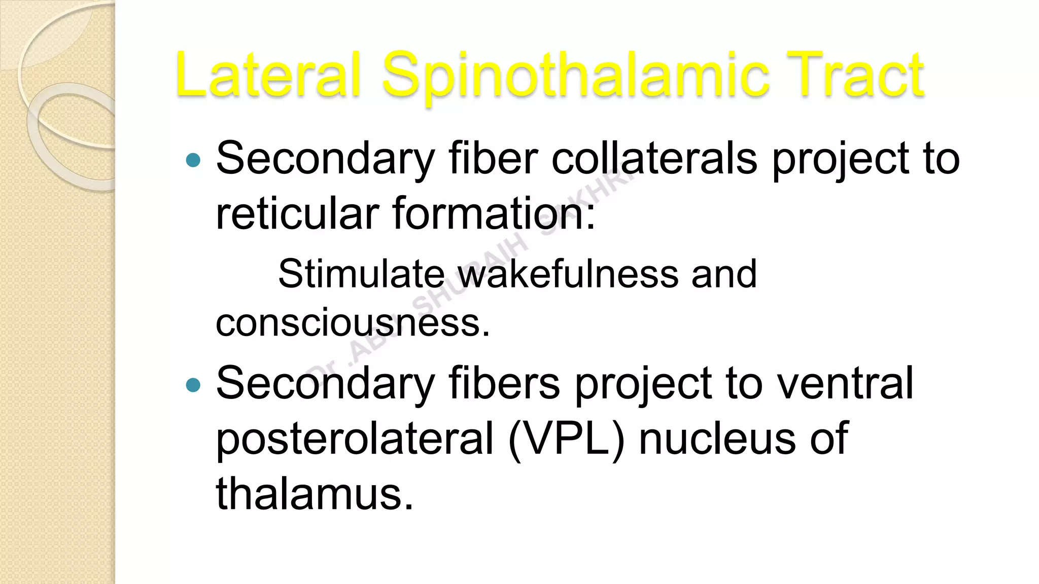 Ascending pathways | PPTX