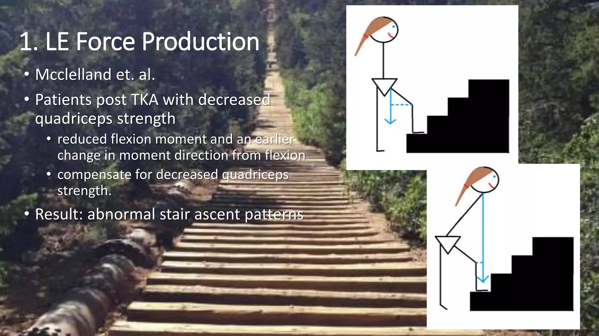 Ascending Stairs: Task Related Determinants | PPT