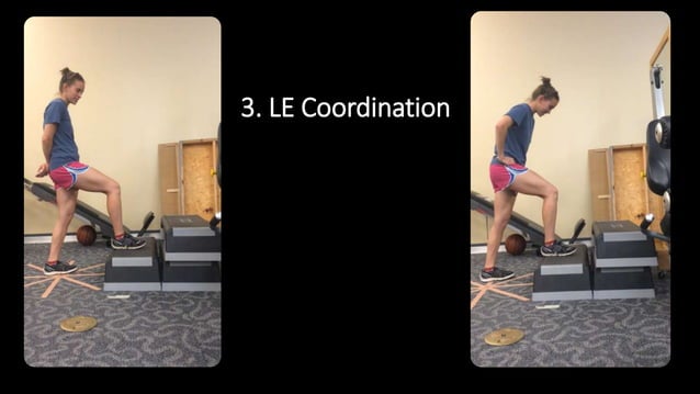 Ascending Stairs: Task Related Determinants | PPT