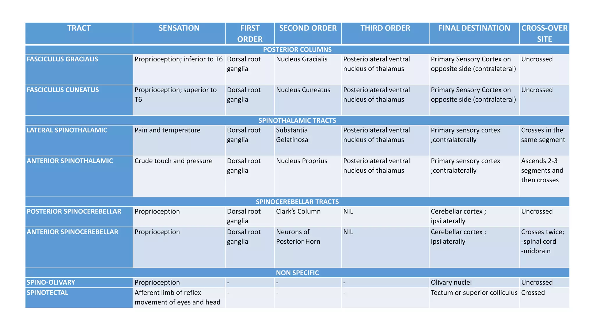 Ascending tract of the Spinal cord | PPSX