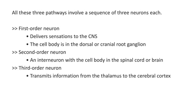 Ascending tract of the Spinal cord | PPSX | Brain and Nervous System ...