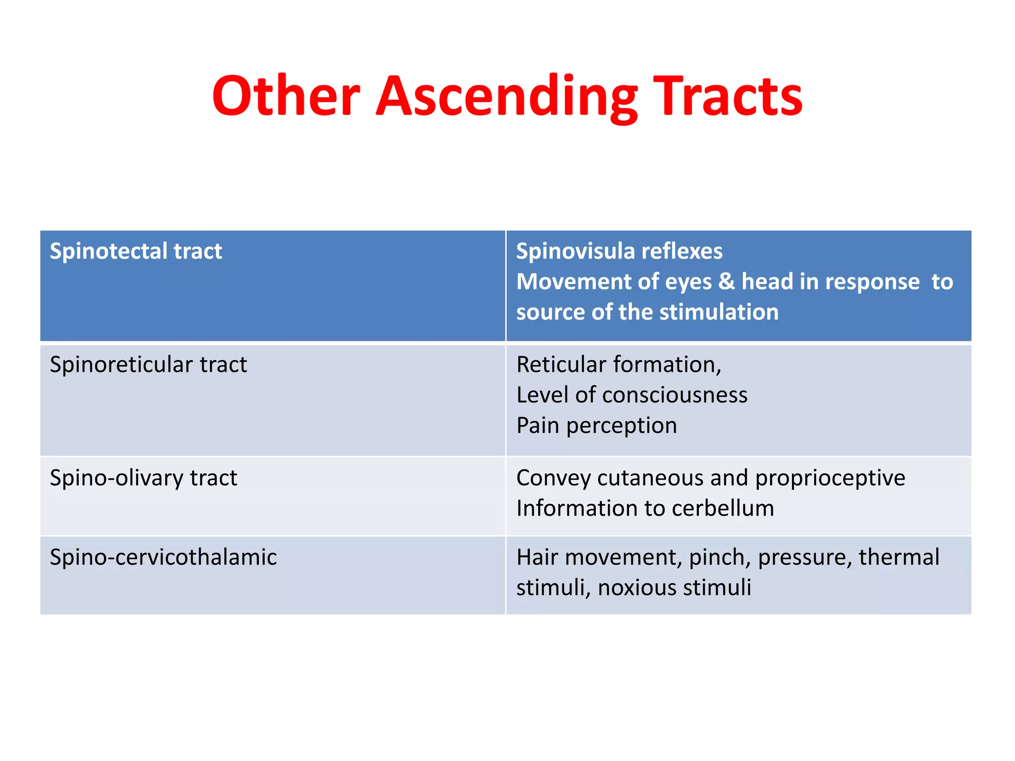 ASCENDING TRACT1.pptx