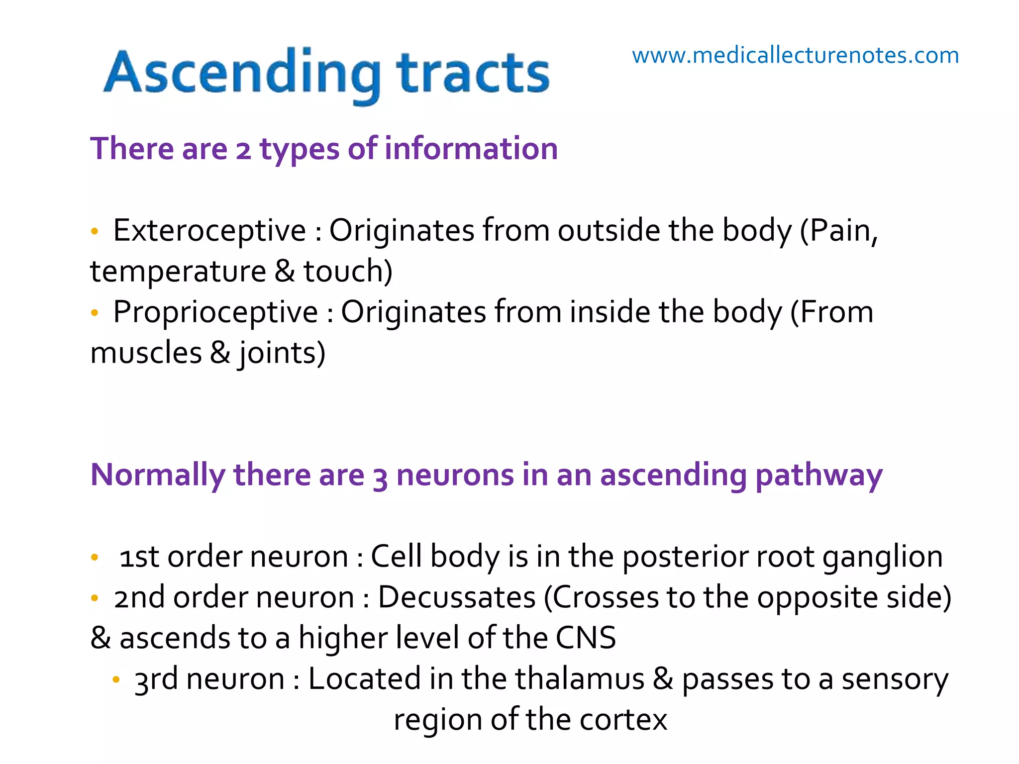 Ascending tracts | PPTX