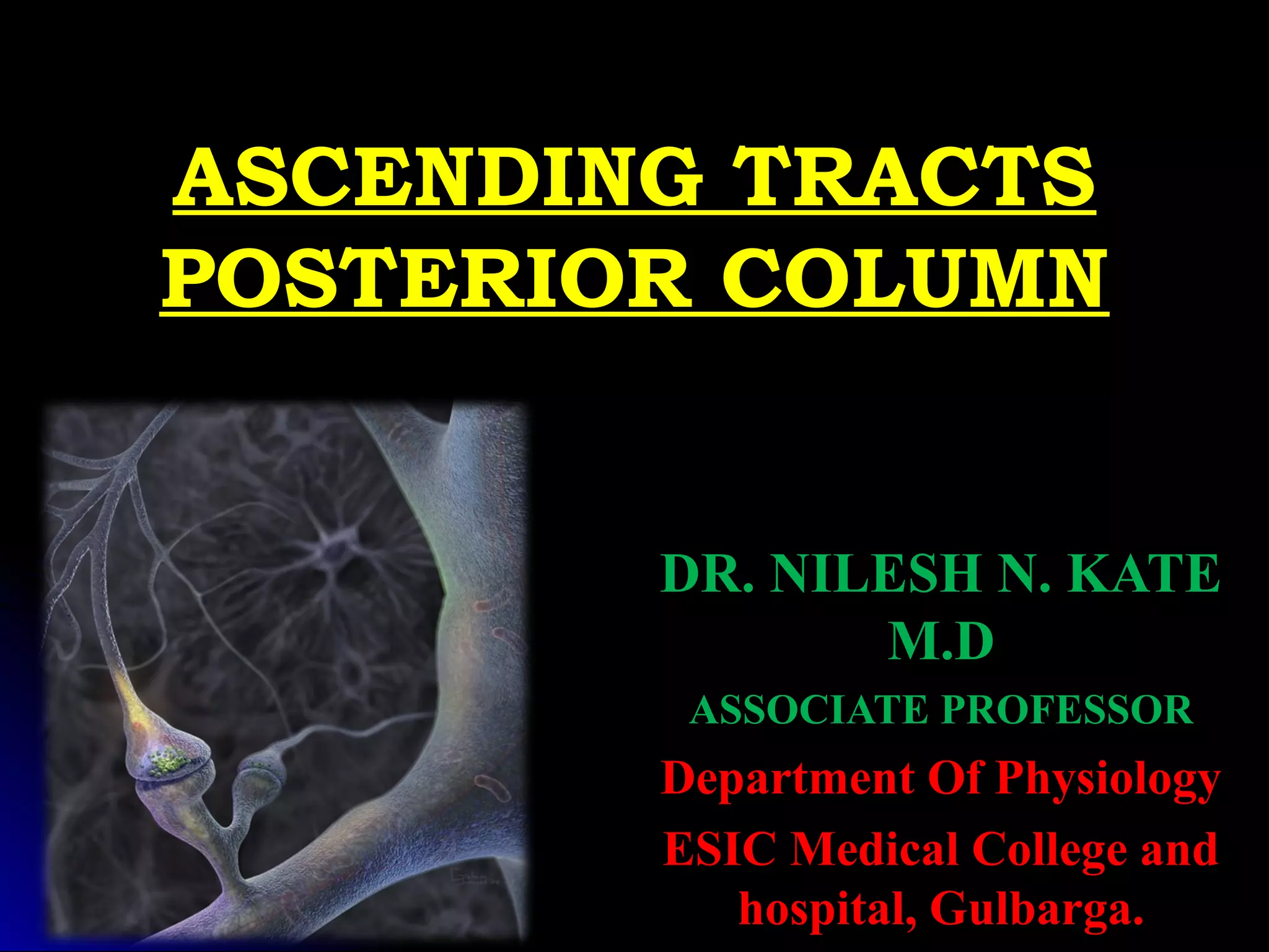 ASCENDING TRACTS | PPT