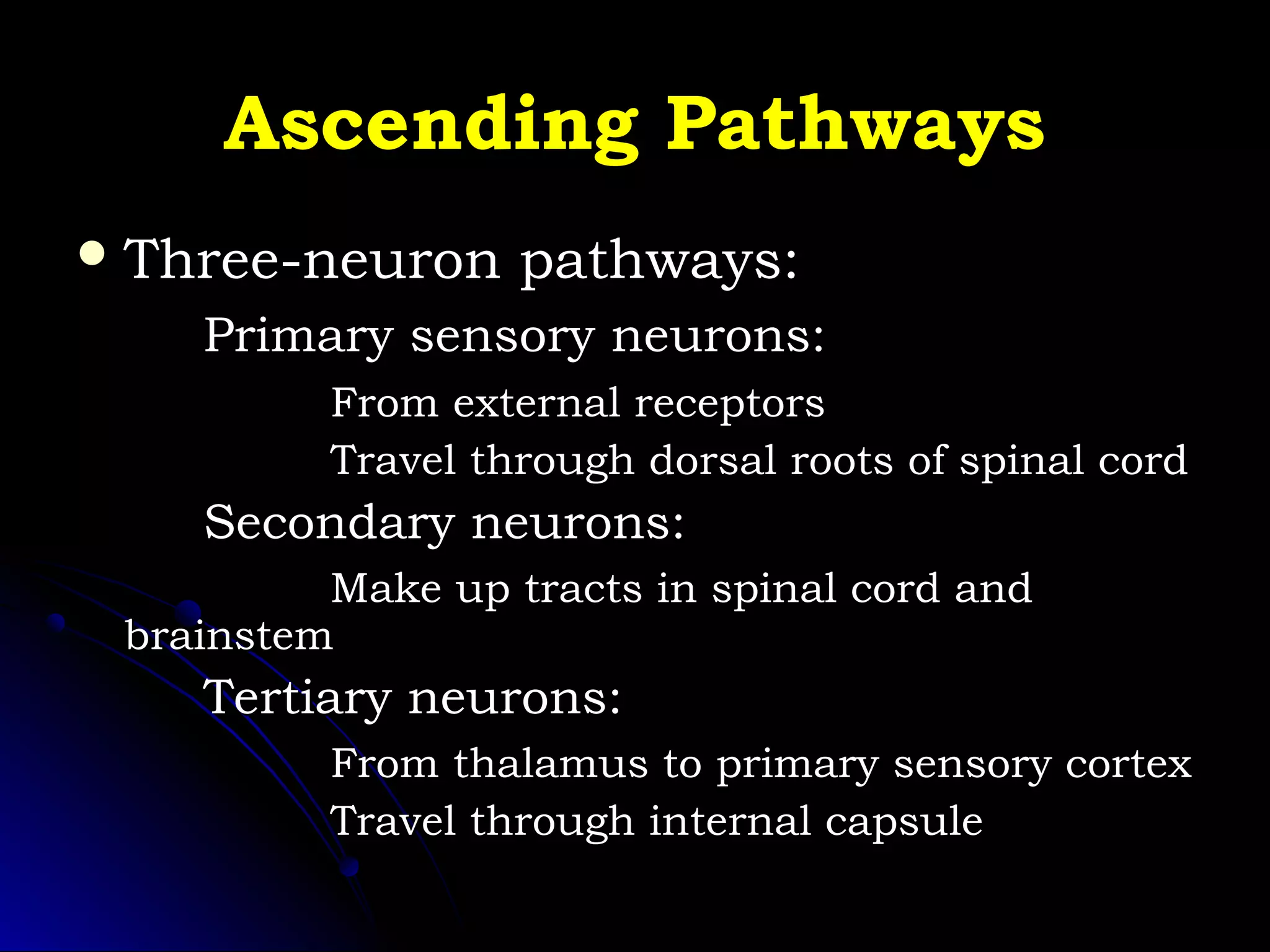 ASCENDING TRACTS | PPT