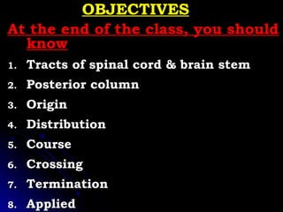 ASCENDING TRACTS | PPT