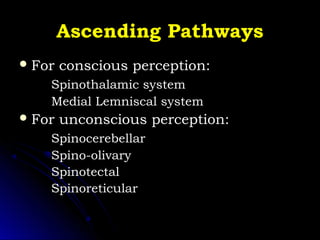 ASCENDING TRACTS | PPT