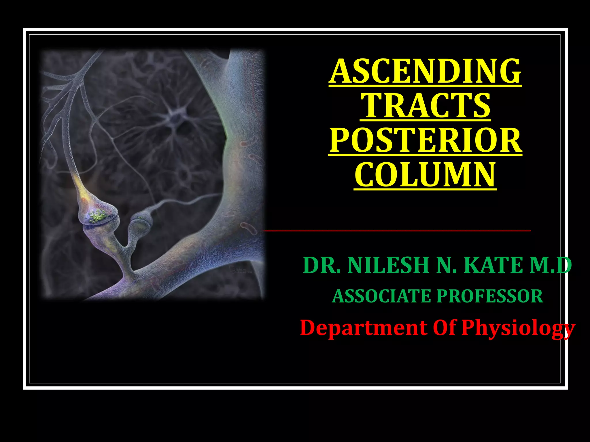 ASCENDING TRACTS | PPT