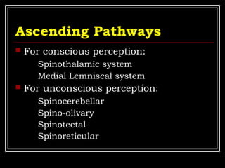 ASCENDING TRACTS | PPT