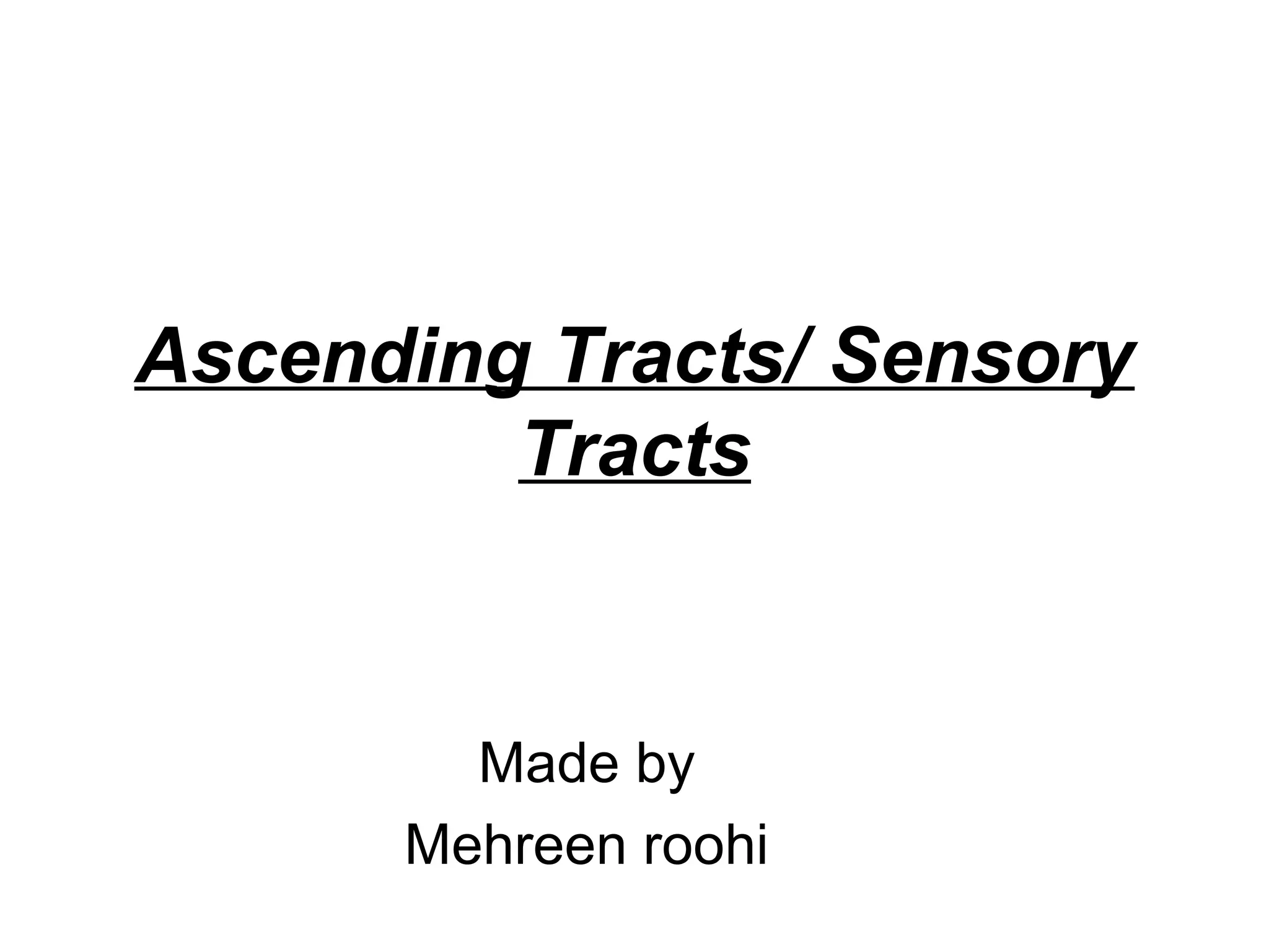 Ascending tracts | PPT