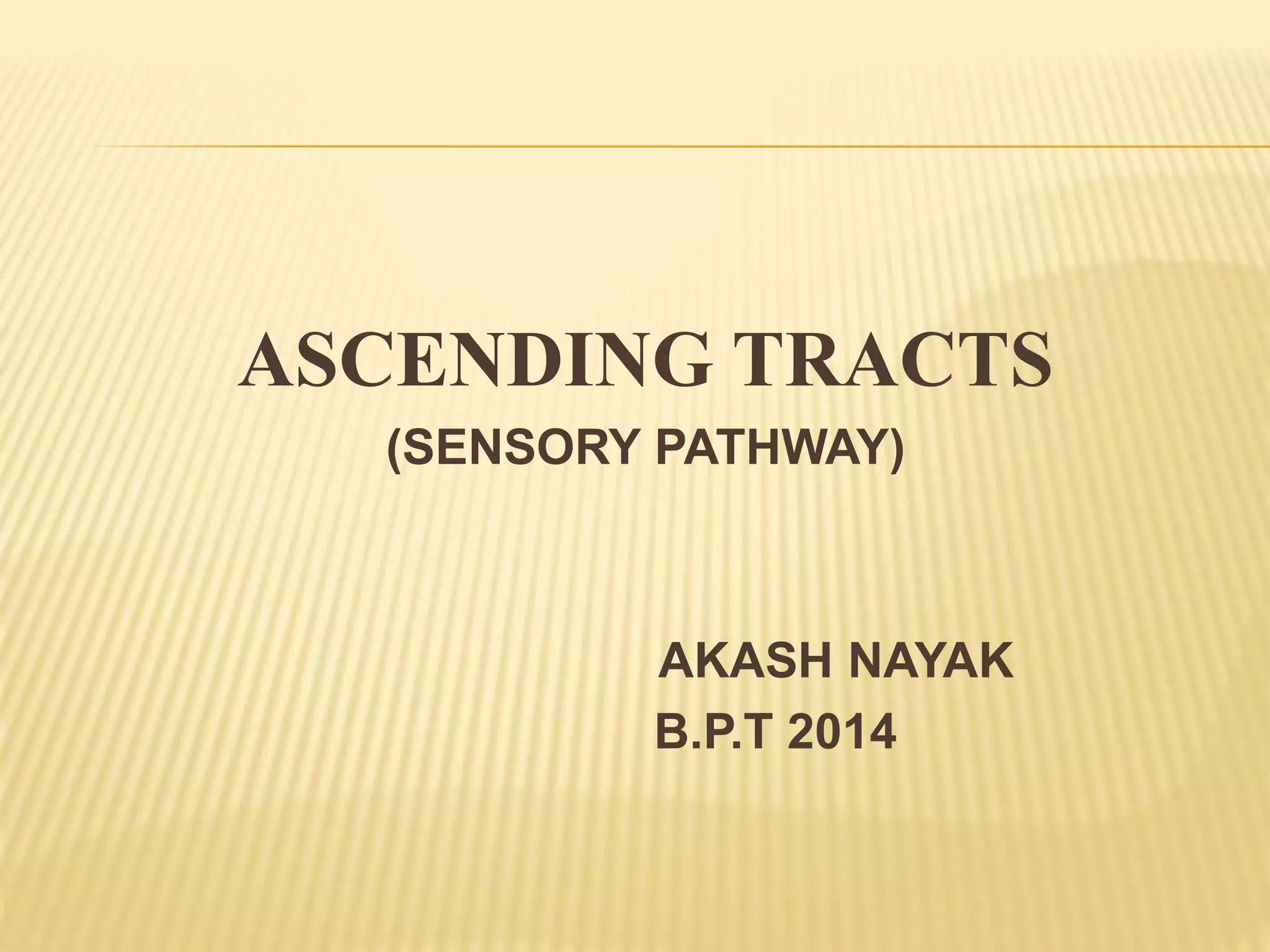 Ascending tracts | PPTX