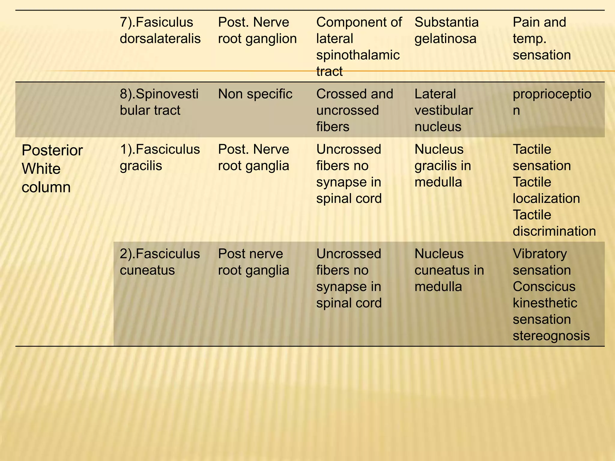 Ascending tracts | PPTX