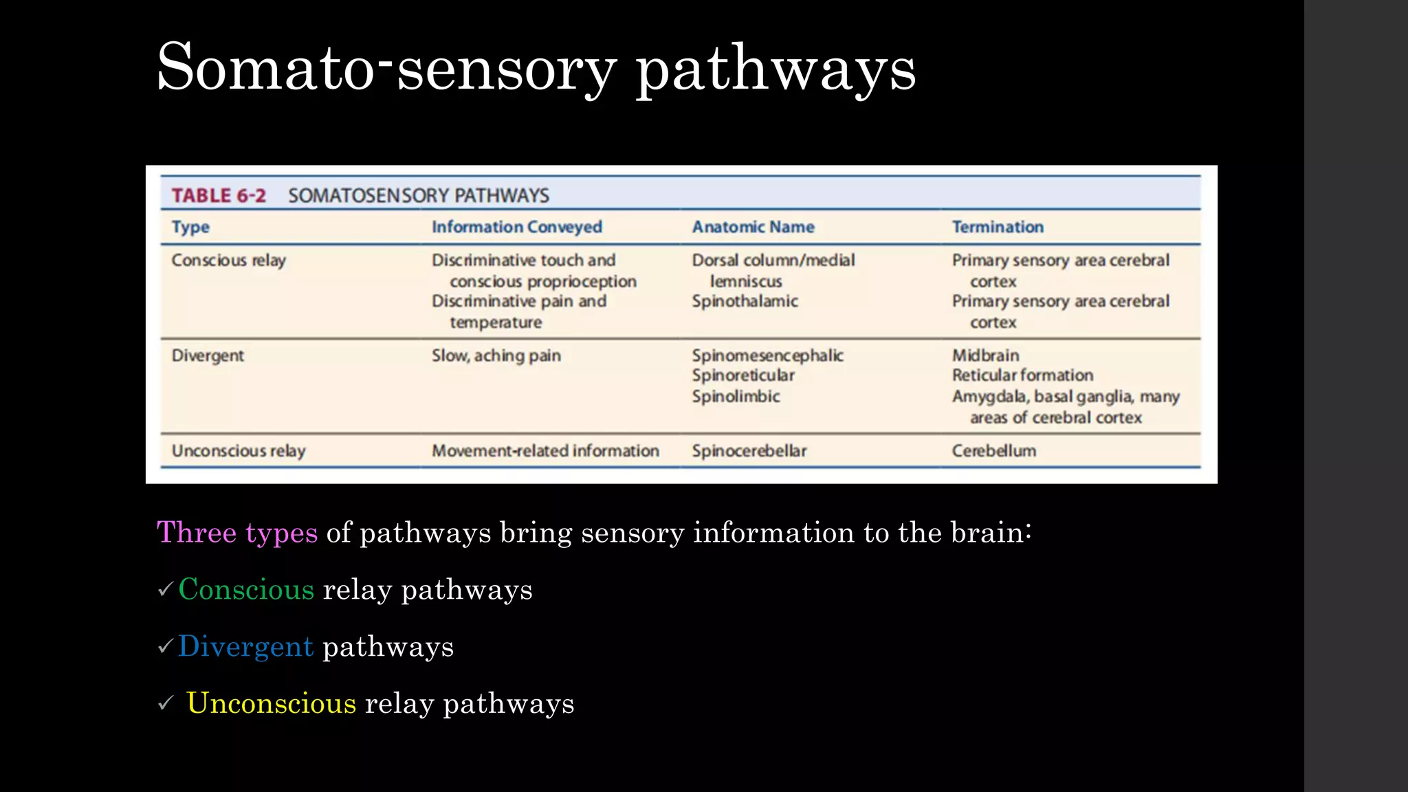 Ascending tracts | PPTX | Brain and Nervous System Disorders | Diseases ...