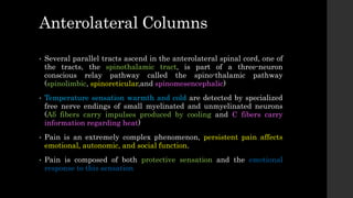 Ascending tracts | PPTX | Brain and Nervous System Disorders | Diseases ...