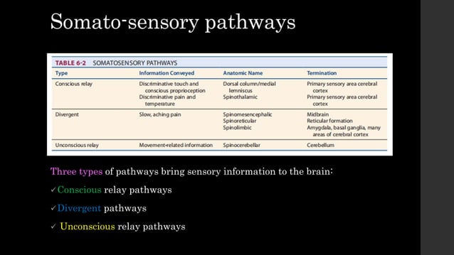 Ascending tracts | PPTX | Brain and Nervous System Disorders | Diseases ...