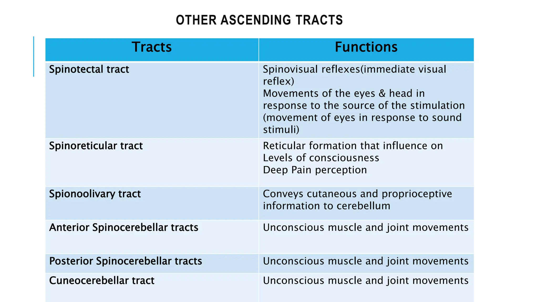 ascending tracts.pptx