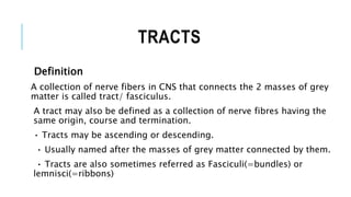 ascending tracts.pptx
