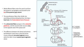 Ascending Tracts Anatomy and physiology | PPTX
