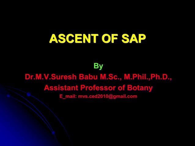 Ascent of sap | PPT | Chemistry | Science