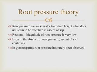 Ascent of sap in plants - Physiology of Plants | PPTX