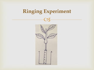 Ascent of sap in plants - Physiology of Plants | PPT